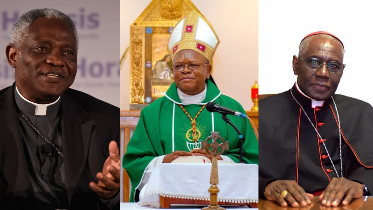 The African cardinals who could become the next Pope